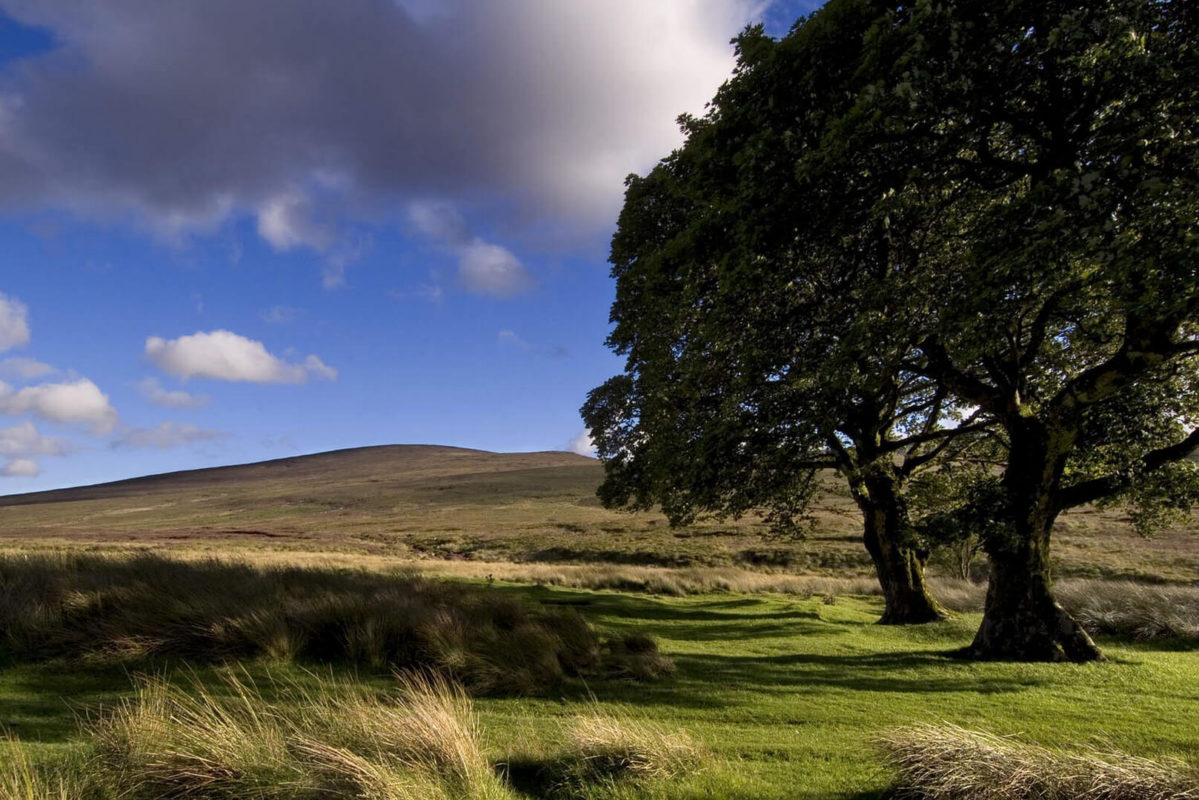 Sally Gap | BrookLodge & Macreddin Village