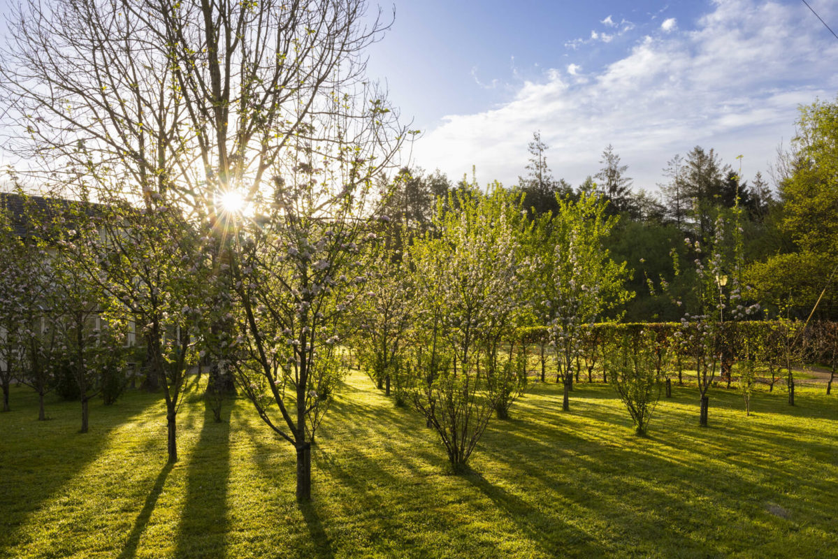 The Macreddin Trail | BrookLodge & Macreddin Village