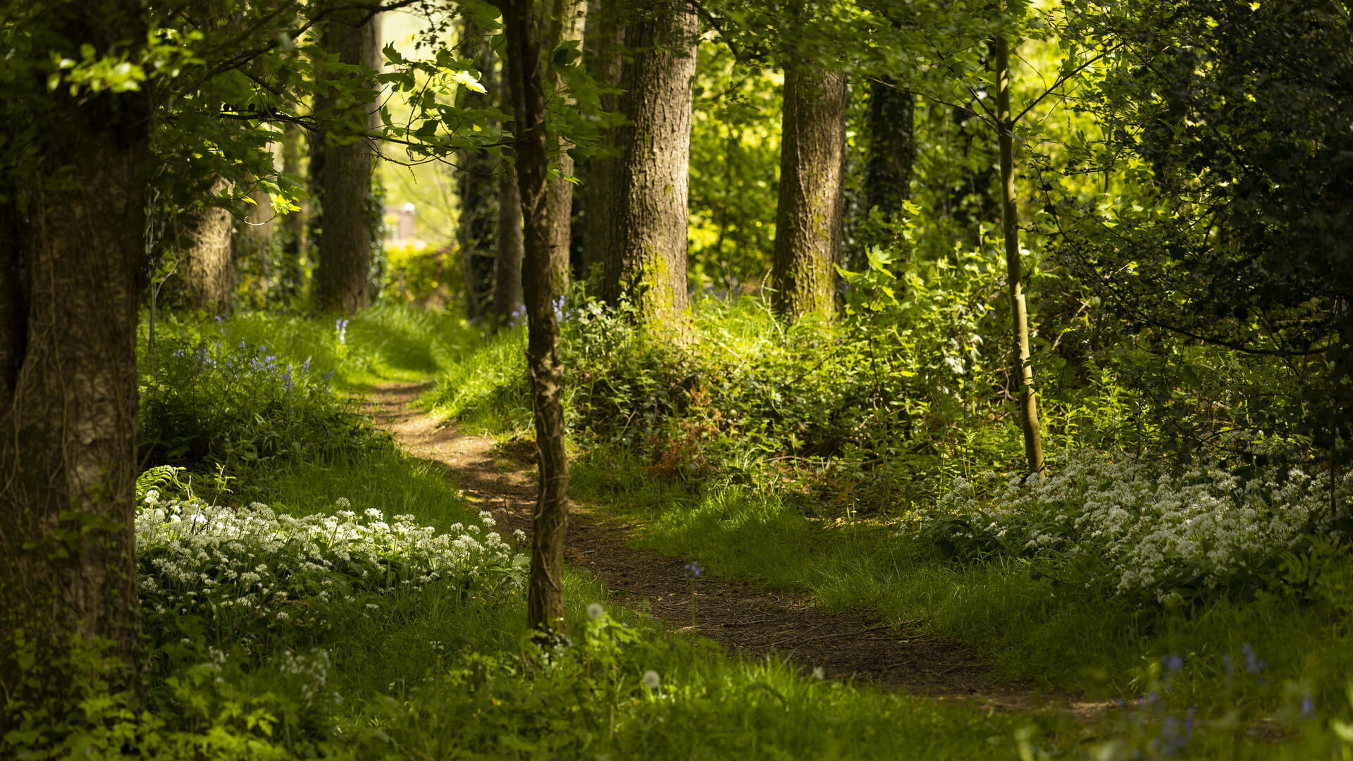 The Macreddin Trail | BrookLodge & Macreddin Village