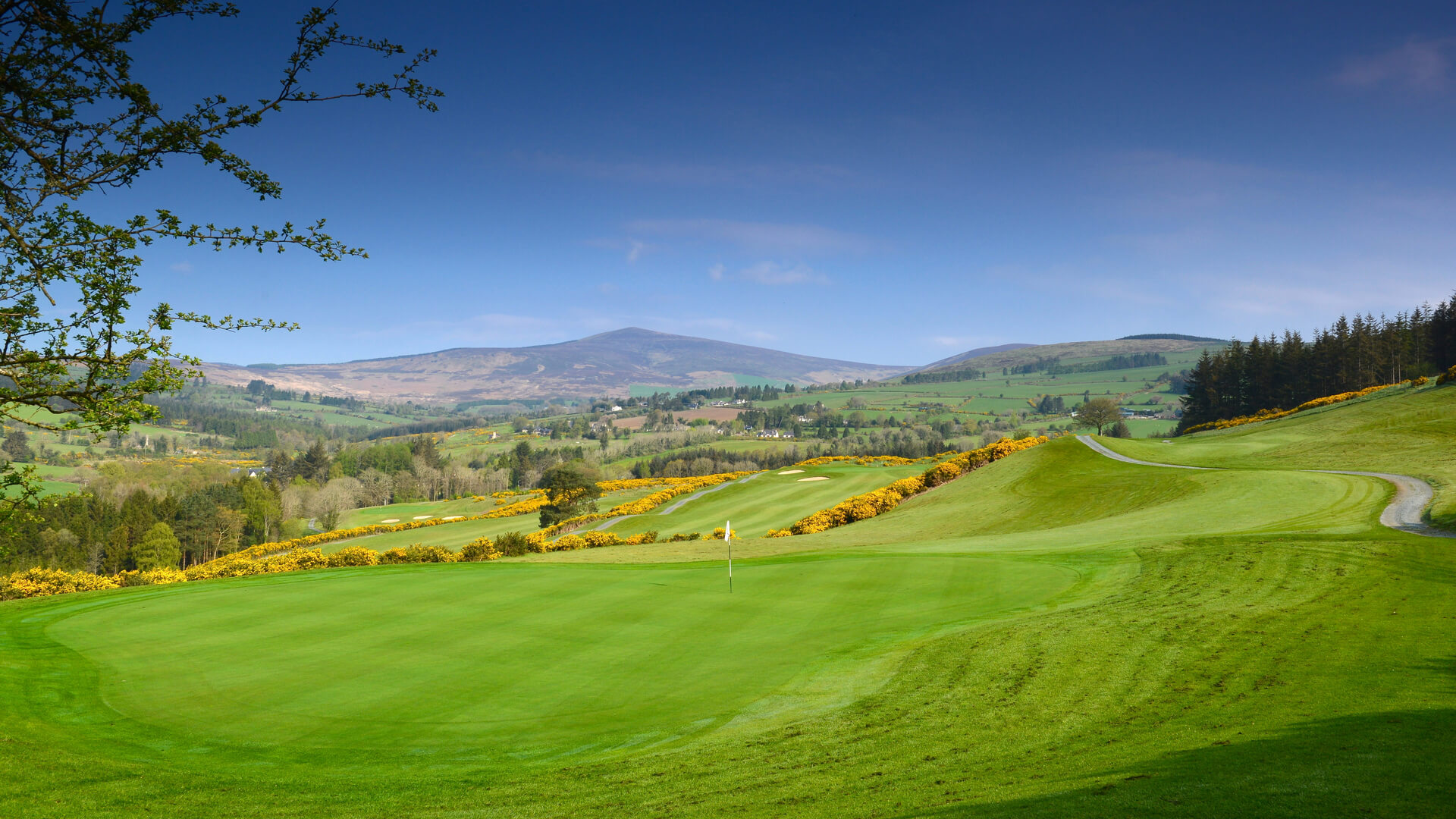 Macreddin Golf Club | BrookLodge & Macreddin Village