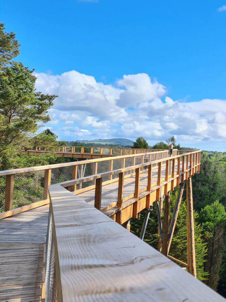 Mindfulness at Macreddin | BrookLodge Wicklow