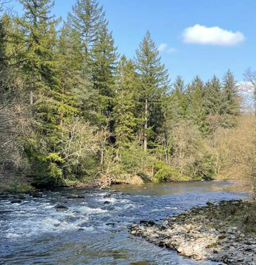 The Meeting of the Waters, Avoca | BrookLodge Wicklow