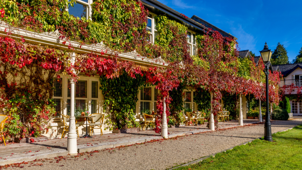 Autumn Breaks Ireland | Autumn Hotel Breaks