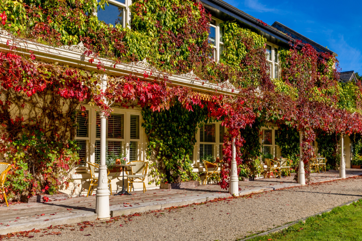 Autumn Breaks Ireland | Autumn Hotel Breaks