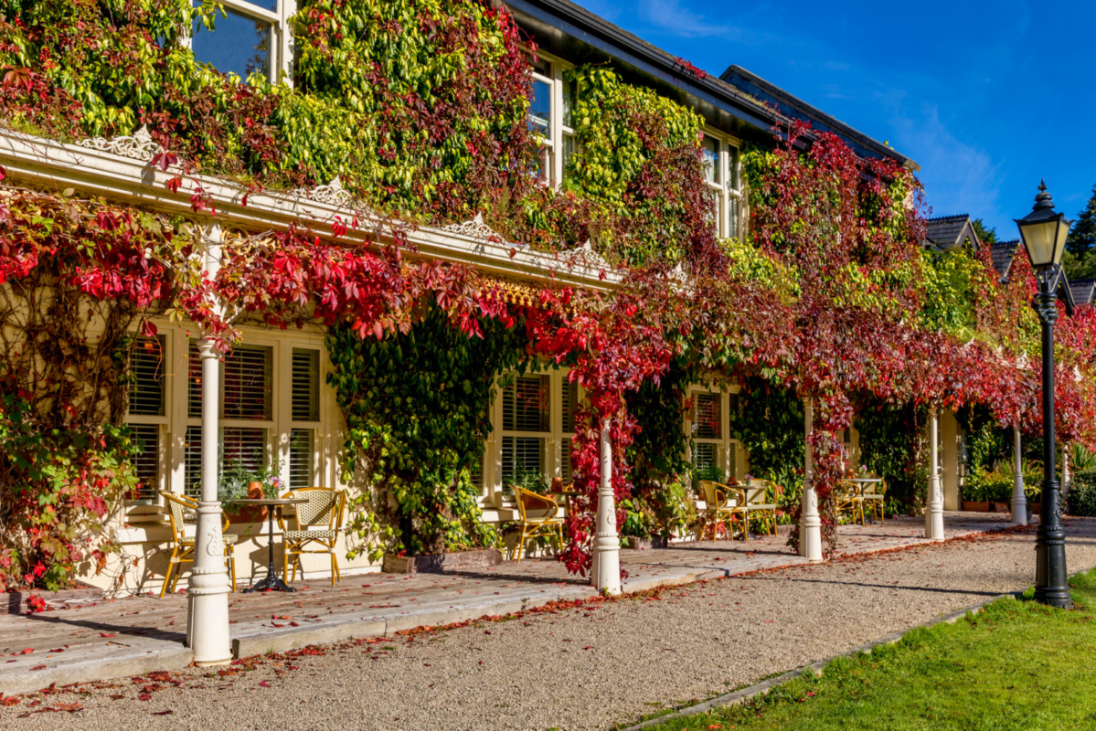 Autumn Escapes | Autumn Hotel Breaks