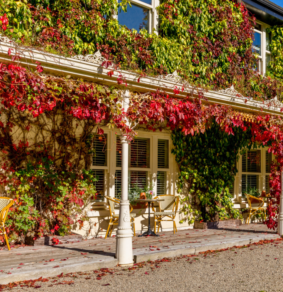 Autumn Breaks Ireland | Autumn Hotel Breaks