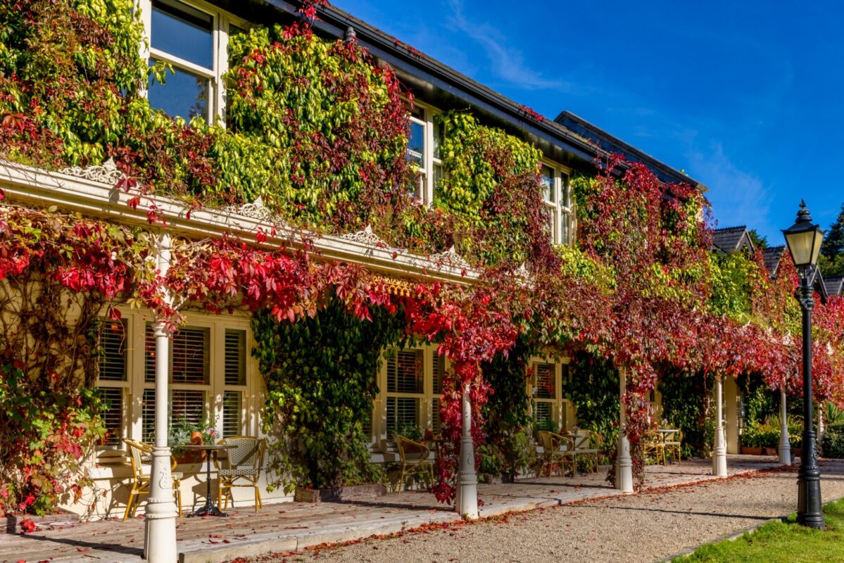 BrookLodge & Macreddin Village | Hotel in Wicklow, Ireland