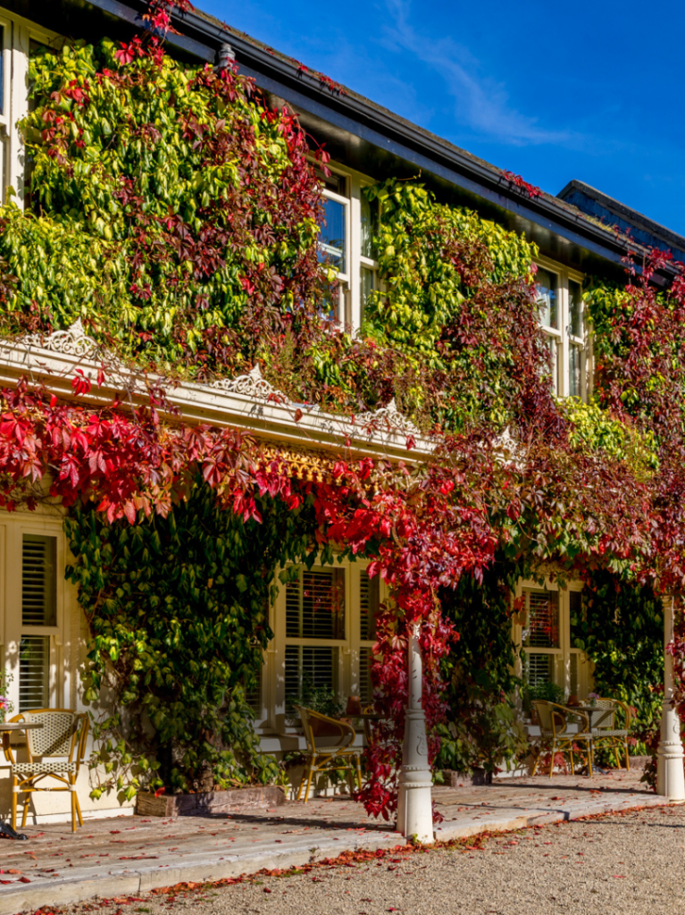 BrookLodge & Macreddin Village | Hotel in Wicklow, Ireland